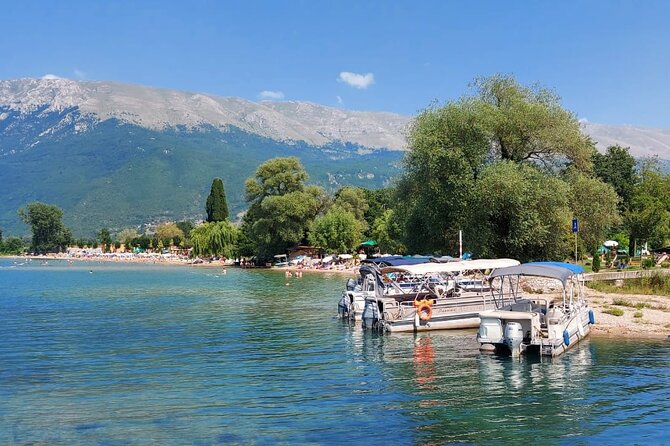 Semi Private; Wine Tasting Experience & Walking Tour of Durres - The Sum Up: Who Will Love This Tour?