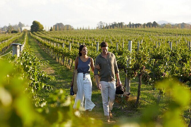 Semi-Private Wine Tour of 2 wineries with wine Tastings - Practical Details and Value