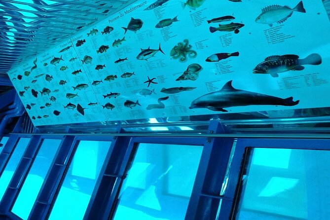 Semi-Submarine Tour From Agios Nikolaos - Additional Information