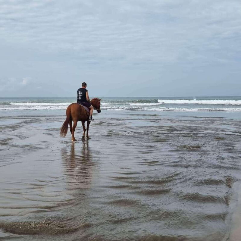 Seminyak Beach Horse Riding Experience - Key Points