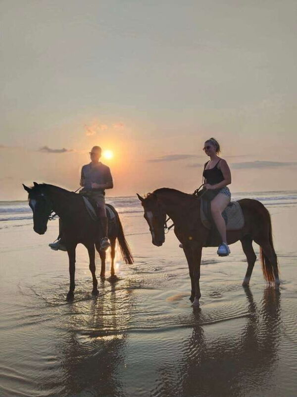 Seminyak Beach Horse Riding Experience - Frequently Asked Questions (FAQs)