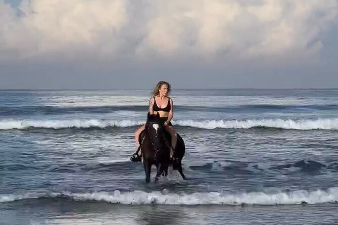 Seminyak beach Private Bali Horse Riding - Key Points