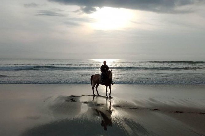 Seminyak beach Private Bali Horse Riding - Authenticity and Real-Life Experiences