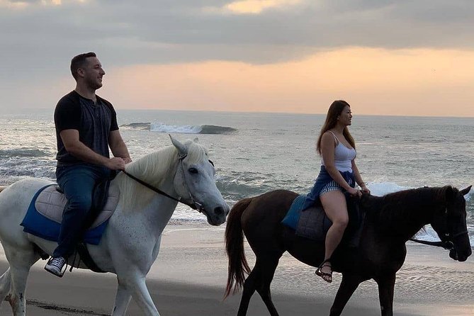 Seminyak beach Private Bali Horse Riding - Who Will Love This Tour