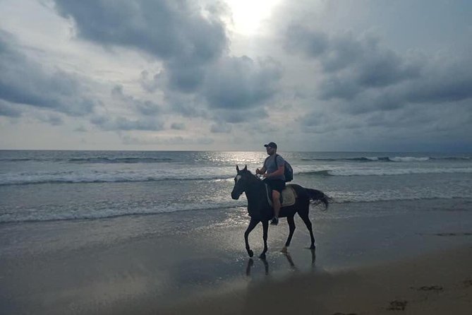 Seminyak beach Private Bali Horse Riding - The Sum Up