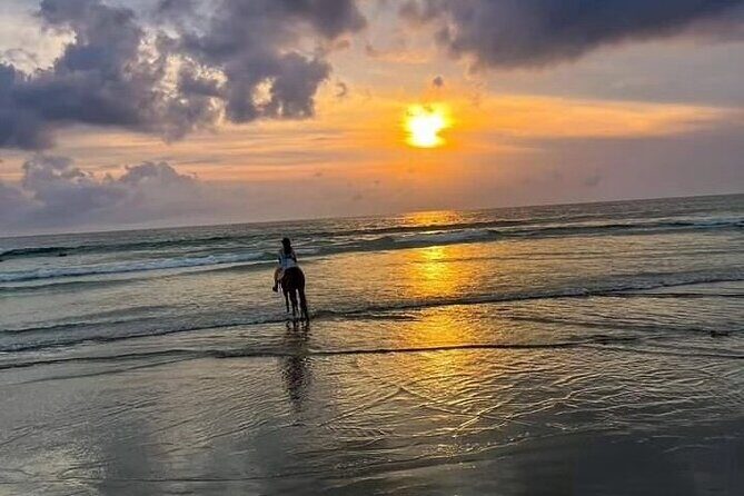 Seminyak Horse back riding In the beach - What to Expect During the Ride