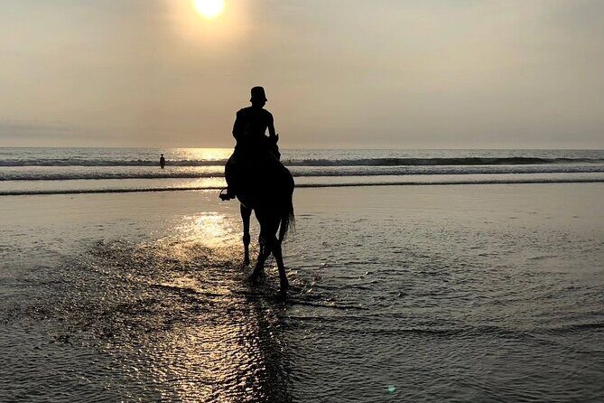 Seminyak Horse back riding In the beach - FAQs
