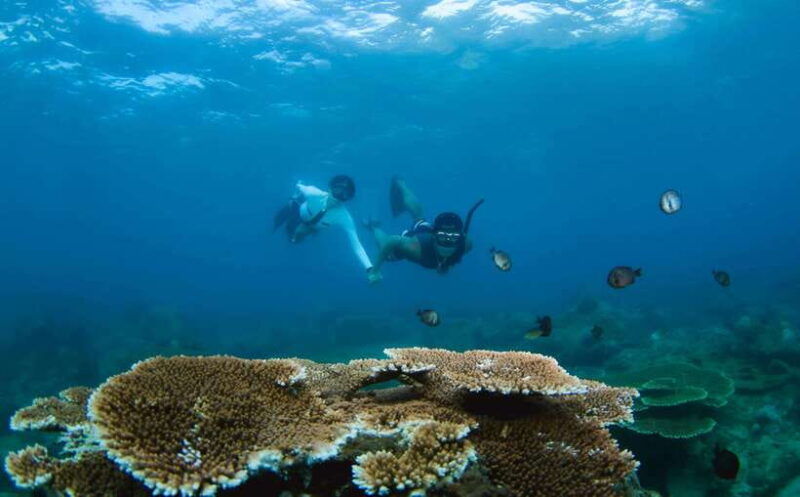 Semporna: Explore 3 Islands Tour Snorkel or Dive & Lunch - The Lunch Experience