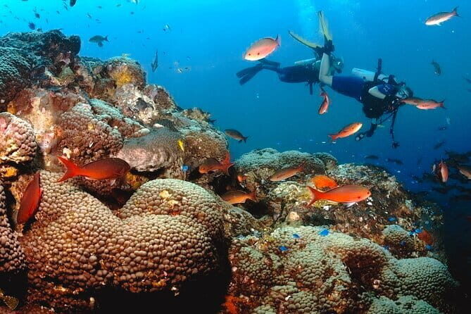 Semporna Hike Bohey 3 Island Snorkel Dive Tour and Lunch - Frequently Asked Questions