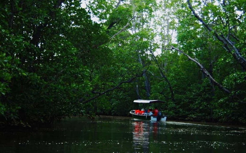 Semporna: Timbun Mata Island & Mangrove Cruise Tour - FAQ