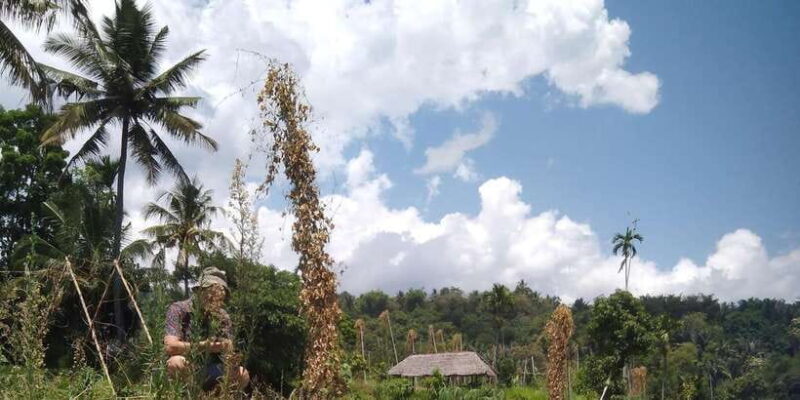 Senaru Soft Trekking Tour - Key Points