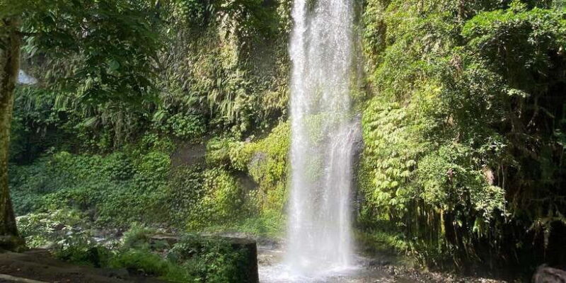 Senaru Soft Trekking Tour - Lunch and Local Village Life