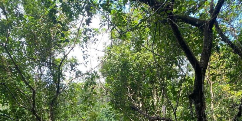 Senaru Soft Trekking Tour - FAQ