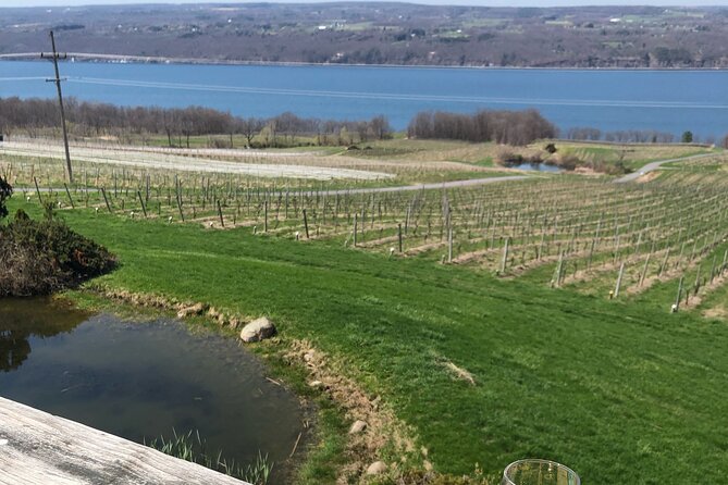 Seneca Lake South Wine Tastings Tour - Final Thoughts