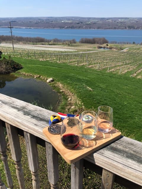 Seneca Lake: Wine Tasting Tour with Lunch - Analyzing the Value