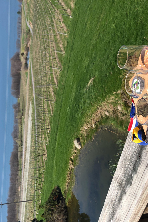 Seneca Lake: Wine Tasting Tour with Lunch - FAQ