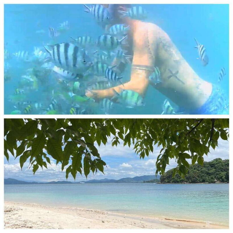 Senggigi: SnorklingDayTrip to Gili Island Nanggu&Sudka&Kedis - Key Points