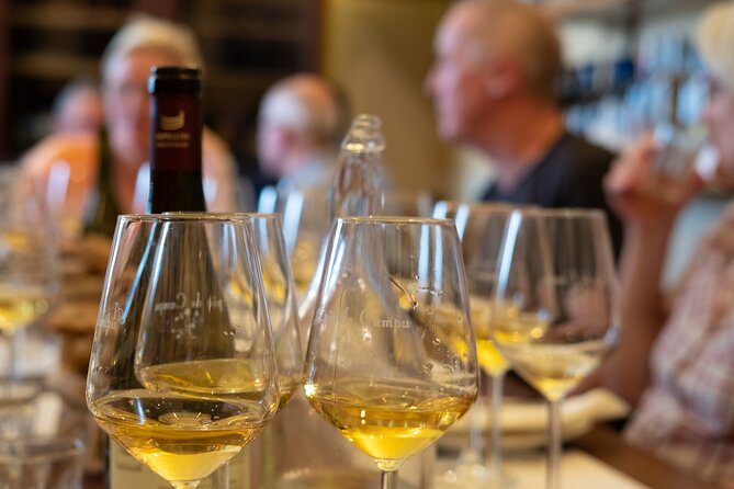 Sensorial Wine Tasting in Manarola, Cinque Terre - Ambiance and Atmosphere