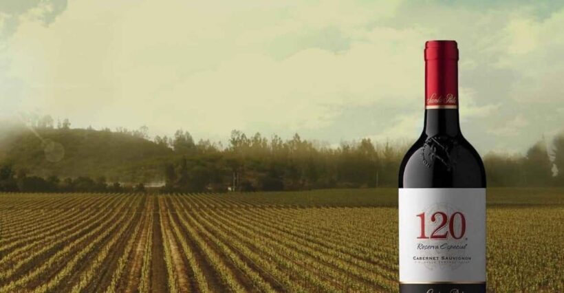 Sensory Journey: Visit to the Santa Rita vineyards - Key Points