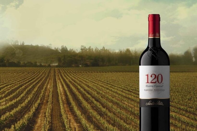 Sensory Journey: Visit to the Santa Rita vineyards - Analyzing the Value