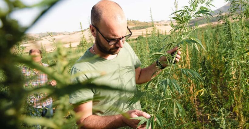 Sensory walk with lunch in the Caltagirone countryside - Key Points
