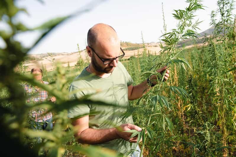 Sensory walk with lunch in the Caltagirone countryside - A detailed look at the countryside sensory walk
