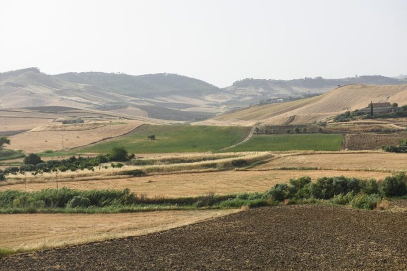 Sensory walk with lunch in the Caltagirone countryside - Practical details and considerations