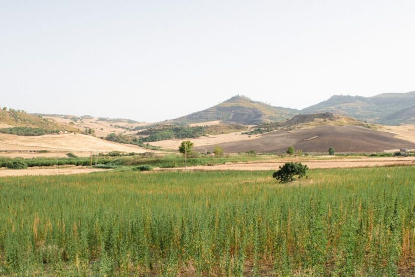 Sensory walk with lunch in the Caltagirone countryside - Who will love this experience?