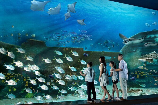 Sentosa Luxe: A Premium Half-Day Island Discovery Tour - An In-Depth Look at the Sentosa Luxe Tour