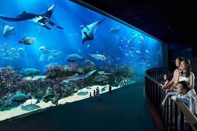 Sentosa Luxe: A Premium Half-Day Island Discovery Tour - Authentic Visitor Perspectives