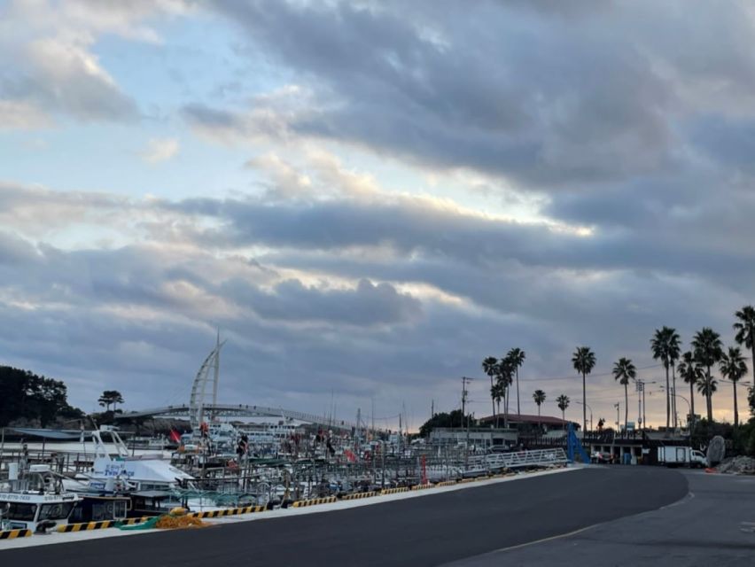 Seogwipo City(in Jeju Island) Walking Tours with Sunset - Taking in Seogwipo’s Cultural Heart at Lee Jung Seop Street and Olle Market