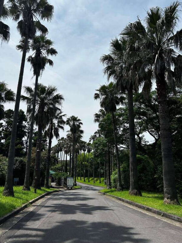 Seogwipo Jungmun Area Walking Tour - Introduction: A Taste of Jeju’s Natural and Cultural Treasures