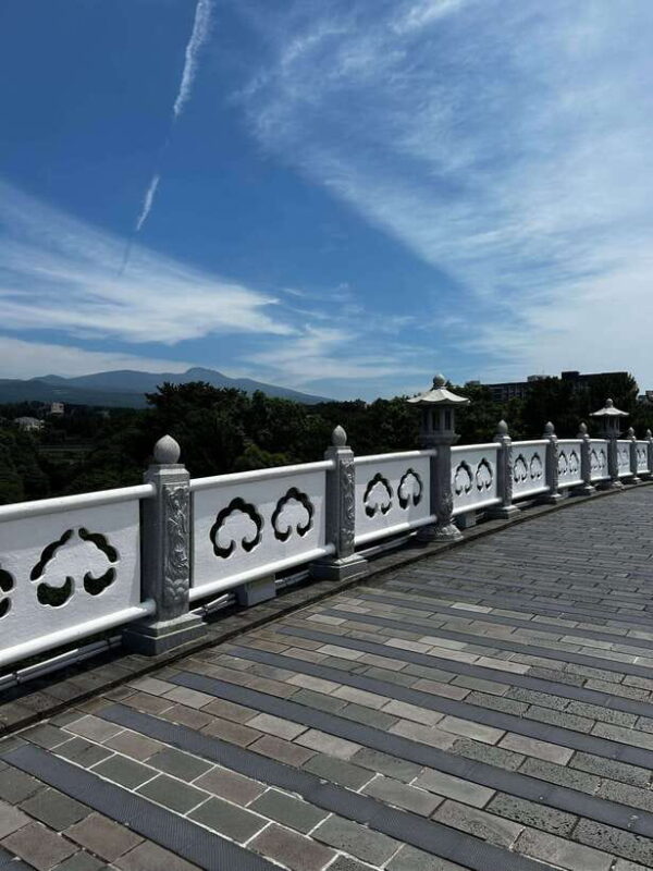 Seogwipo Jungmun Area Walking Tour - What’s Included and What’s Not