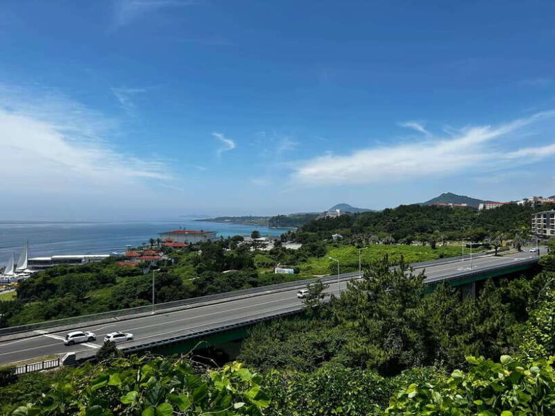 Seogwipo Jungmun Area Walking Tour - Authentic Experiences and Authenticity