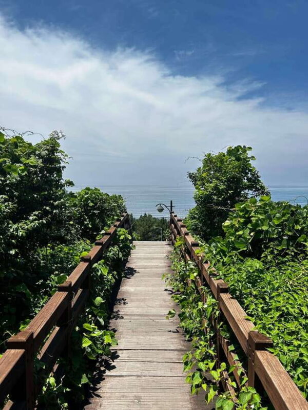 Seogwipo Jungmun Area Walking Tour - The Sum Up: Who Will Love This Tour?