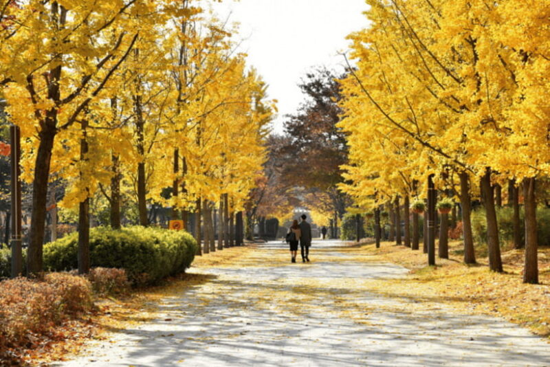 Seongsu-dong Stroll: K-Pop Culture Walking Tour - Authentic Experiences Highlighted