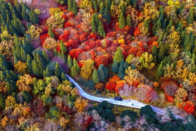 Seoraksan & Naksan Temple Autumn Day Trip from Seoul - Key Points
