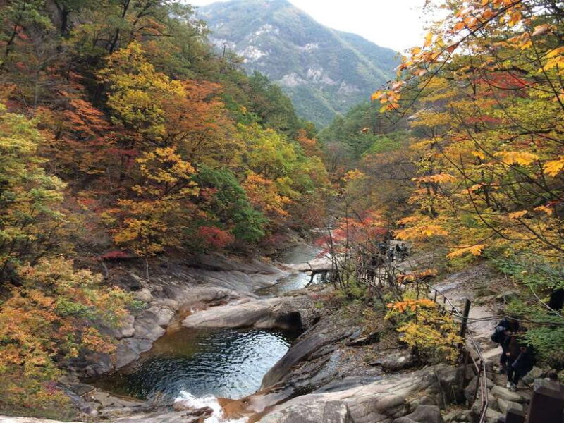 Seoraksan & Nami & Rail Bike & Morning Calm - Exploring Korea’s Natural Beauty and Cultural Charm in a Day
