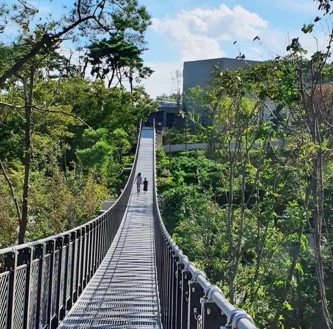 Seoul: Aegibong DMZ & Hanok Scenic/Historical One Day Tour - A Detailed Look at the Tour Experience