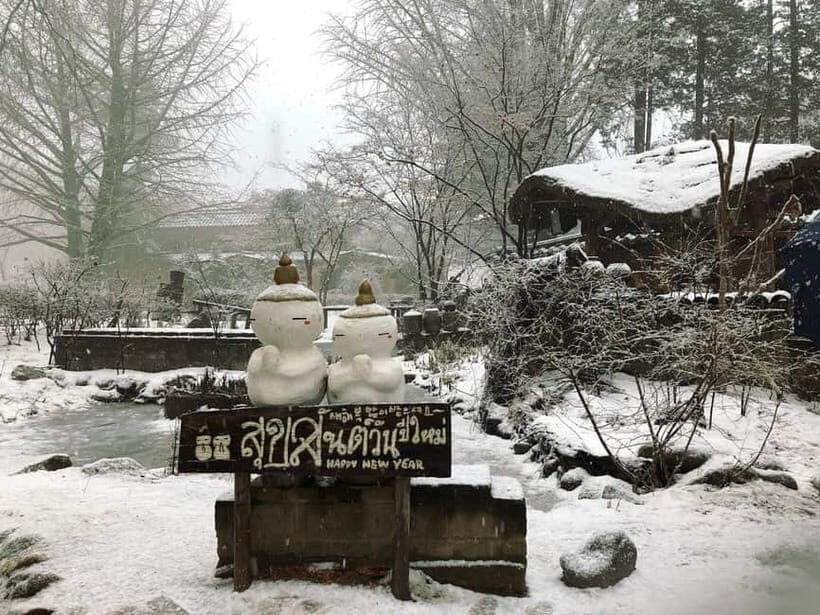 Seoul: Alpaca/Nami/Eobi(+RailBike, Strawberry optional) Tour - Authentic Experiences and Traveler Insights