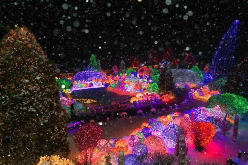 Seoul: Alpaca/Nami/Garden of Morning Calm Tour (+Rail Bike) - The Real Travel Experience: What People Say