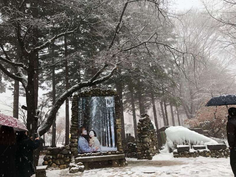 Seoul: Alpaca/Nami/Garden of Morning Calm Tour (+Rail Bike) - FAQ