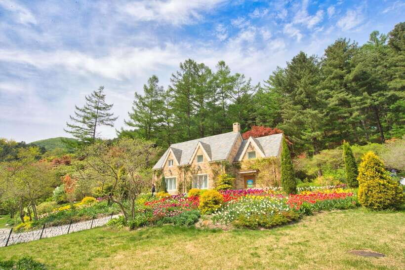Seoul: Alpaca World and Nami Island (with Garden / Railbike) - Key Points