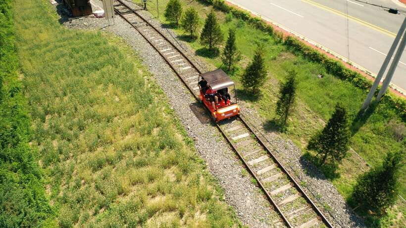 Seoul: Alpaca World and Nami Island (with Garden / Railbike) - The Experience: Balancing Fun, Comfort, and Authenticity