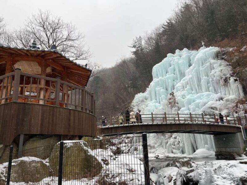 Seoul: Alpaca World, Nami, Eobi and Strawberry Picking Tour - Who Will Find This Tour Most Suitable?