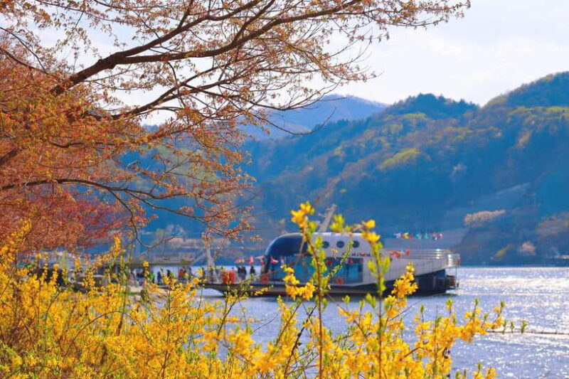 Seoul: Alpaca World & Nami Island (+Gangchon Railbike) - The Highlights in Detail