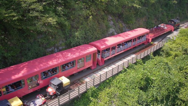 Seoul: Alpaca World & Nami Island (+Gangchon Railbike) - What the Reviews Tell Us