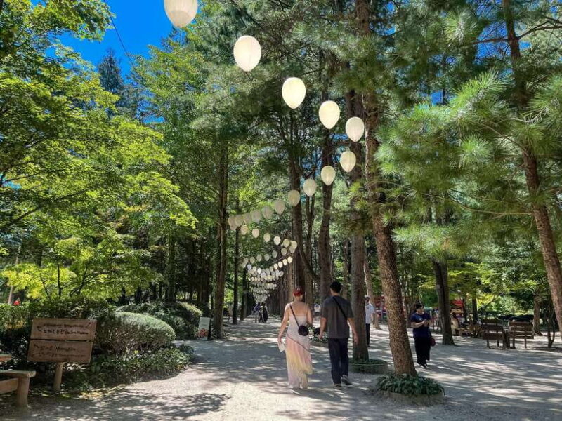 Seoul: Alpaca World & Nami Island (+Gangchon Railbike) - Practical Tips for Travelers