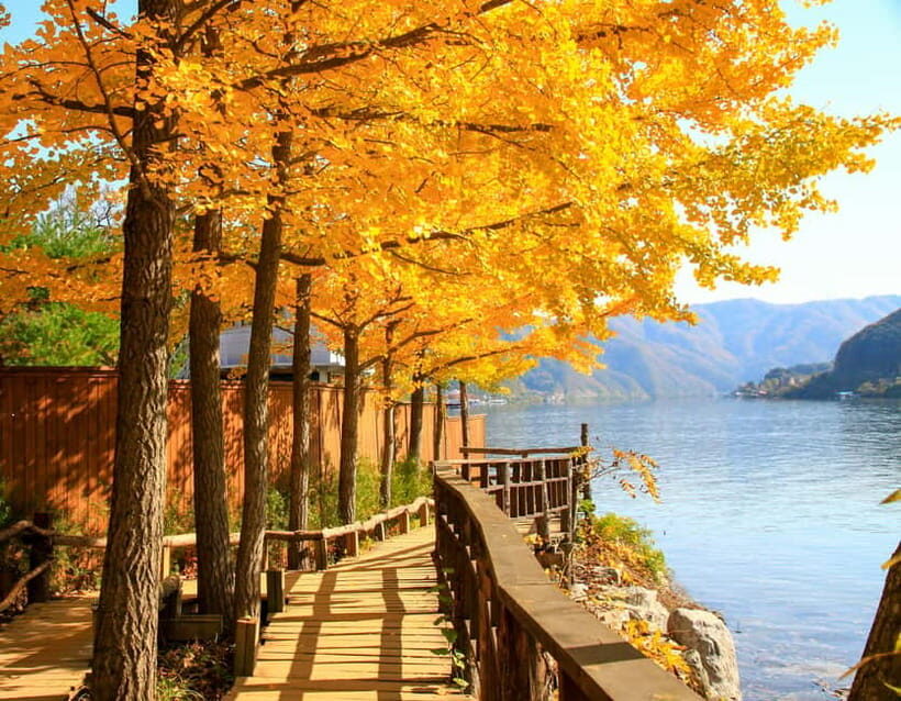 Seoul: Alpaca World & Nami Island (opt. Gangchon Railbike) - Who Will Love This Tour?