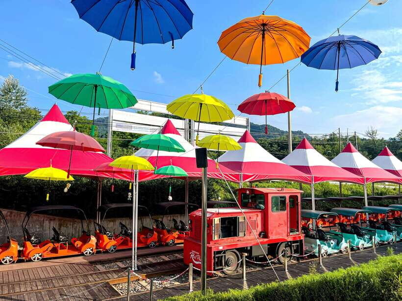 Seoul: Alpaca World & Nami Island (opt. Gangchon Railbike) - FAQ
